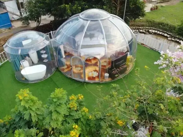 Discover the Magic of PC - Panel Transparent Starry Sky Rooms - Songxia ...